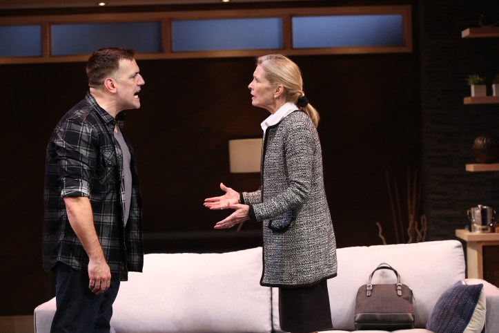 Revisiting Daniel’s Husband: A Cautionary Tale of Gay Marriage – front ...